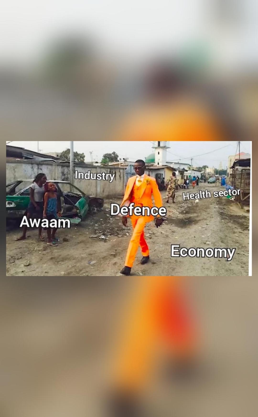 Pakistanis berate govt with bankruptcy memes amid economic crisis