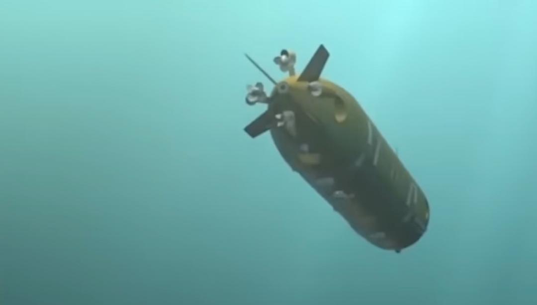 Russia unveils new torpedo that can destroy underwater drones