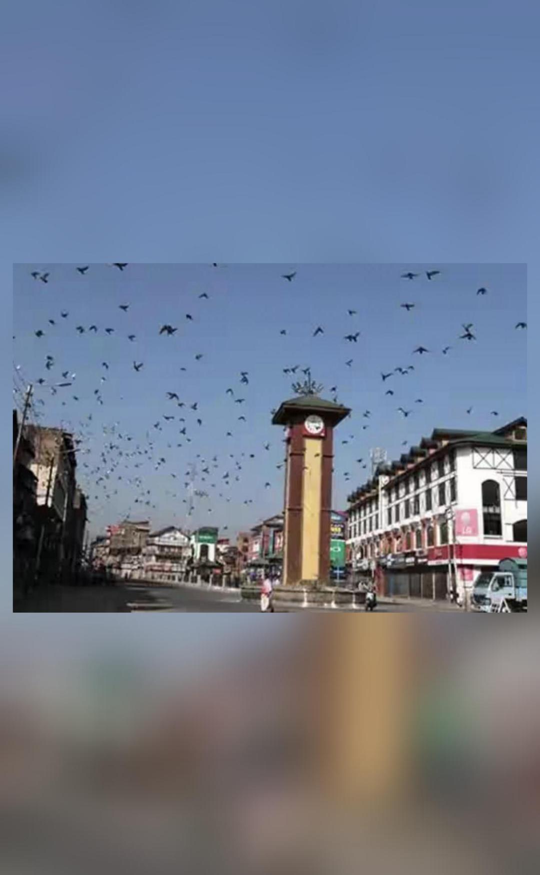 SC to hear pleas challenging abrogation of Article 370 from Aug 2