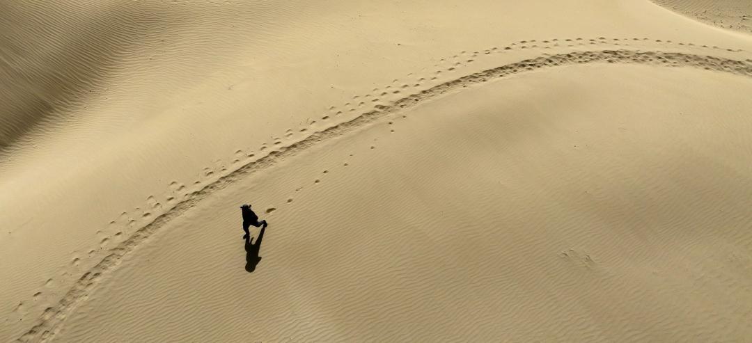 img_1690885746216_696.jpg?