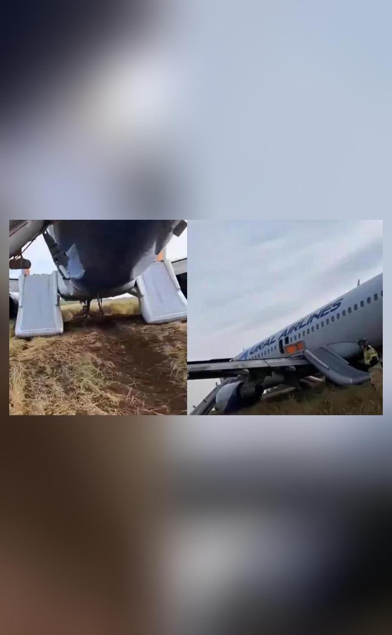 img_1694522224186_694.jpg?