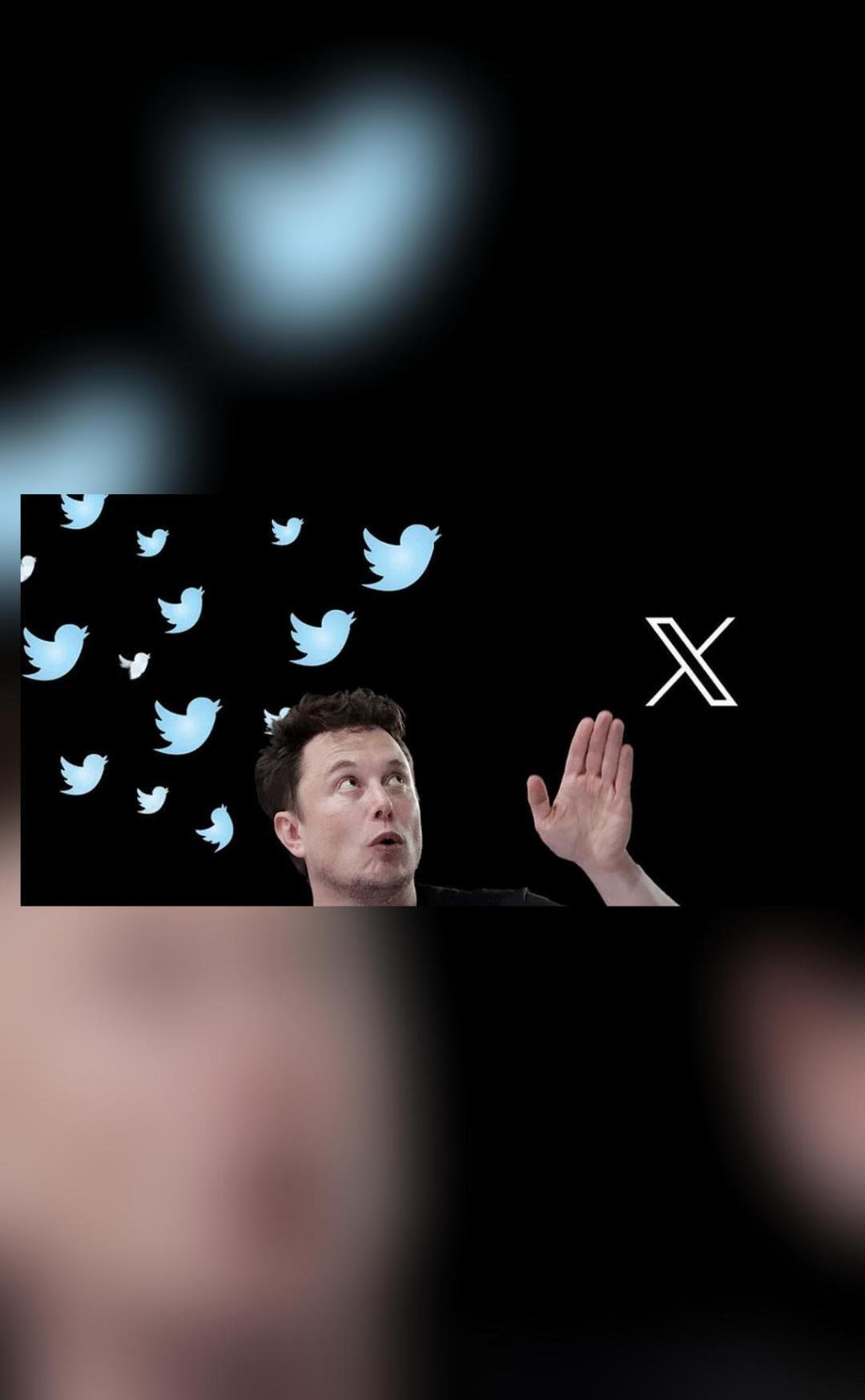 Video viewership on X has doubled since last year: Elon Musk