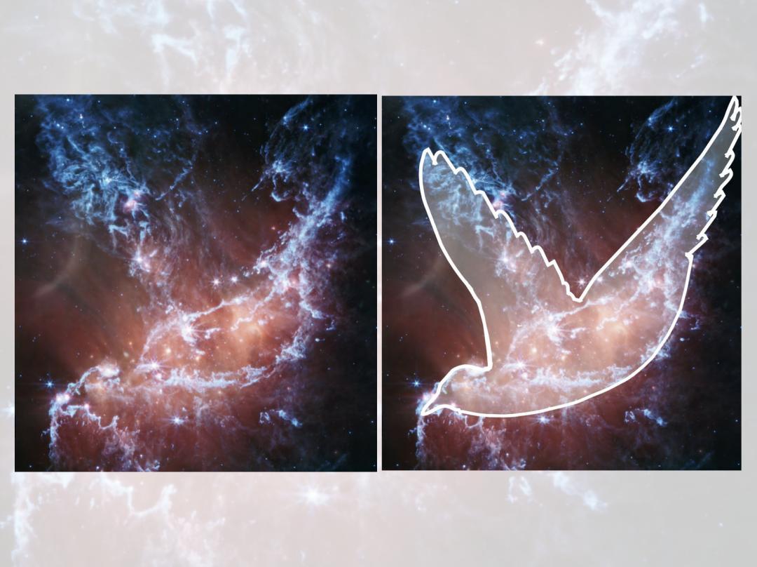 NASA shares pic of star cluster forming shape of 'raven' | Science News ...