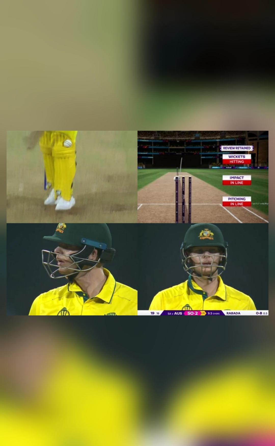 Steve Smith's reaction after being given LBW out by 3rd umpire goes viral
