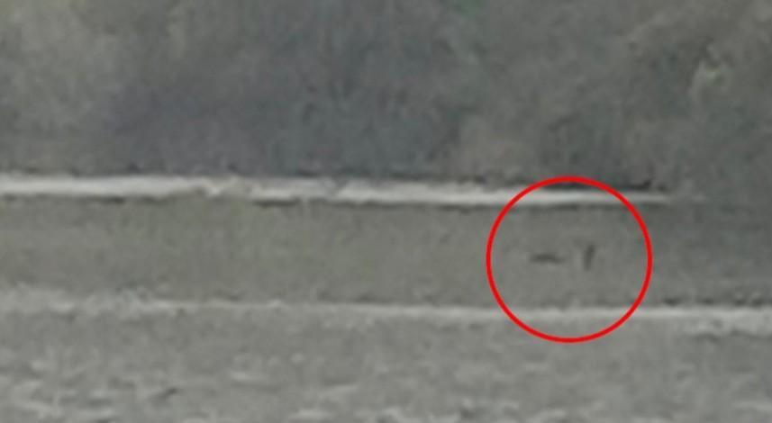 img_1697809153521_101.jpg?