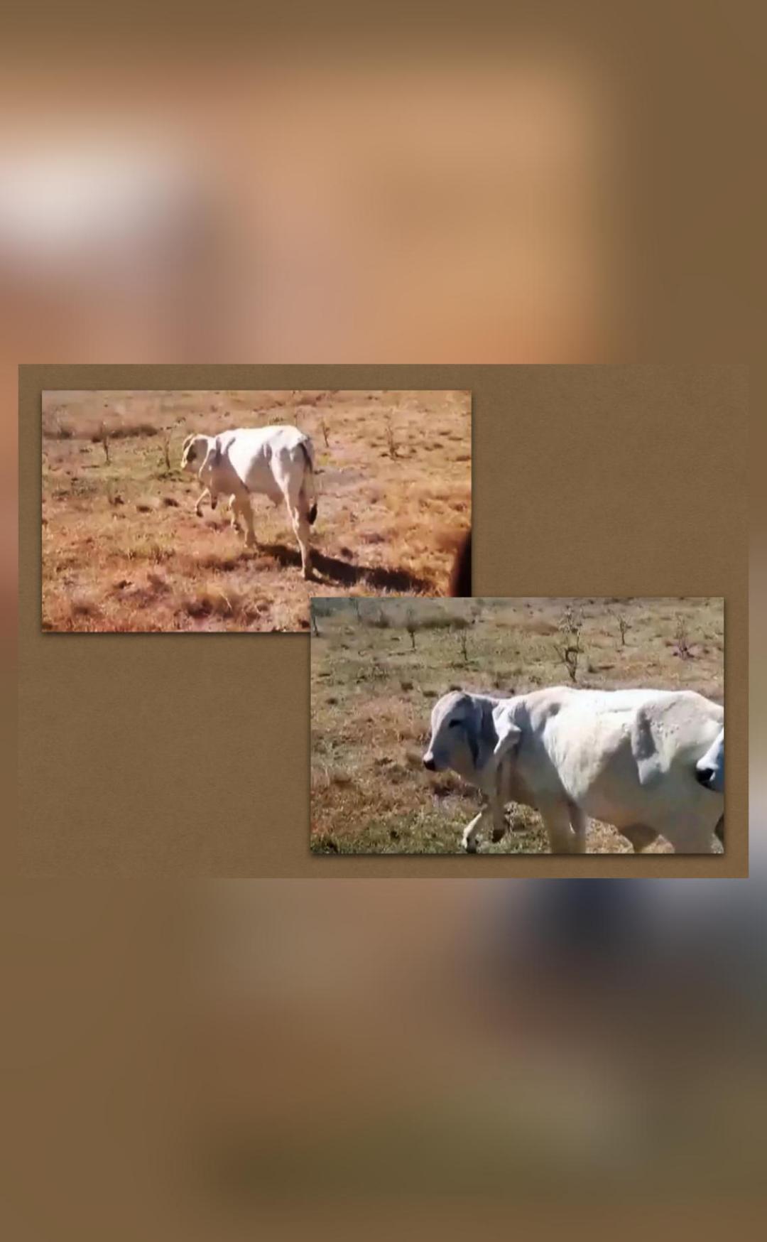 img_1698040192121_212.jpg?