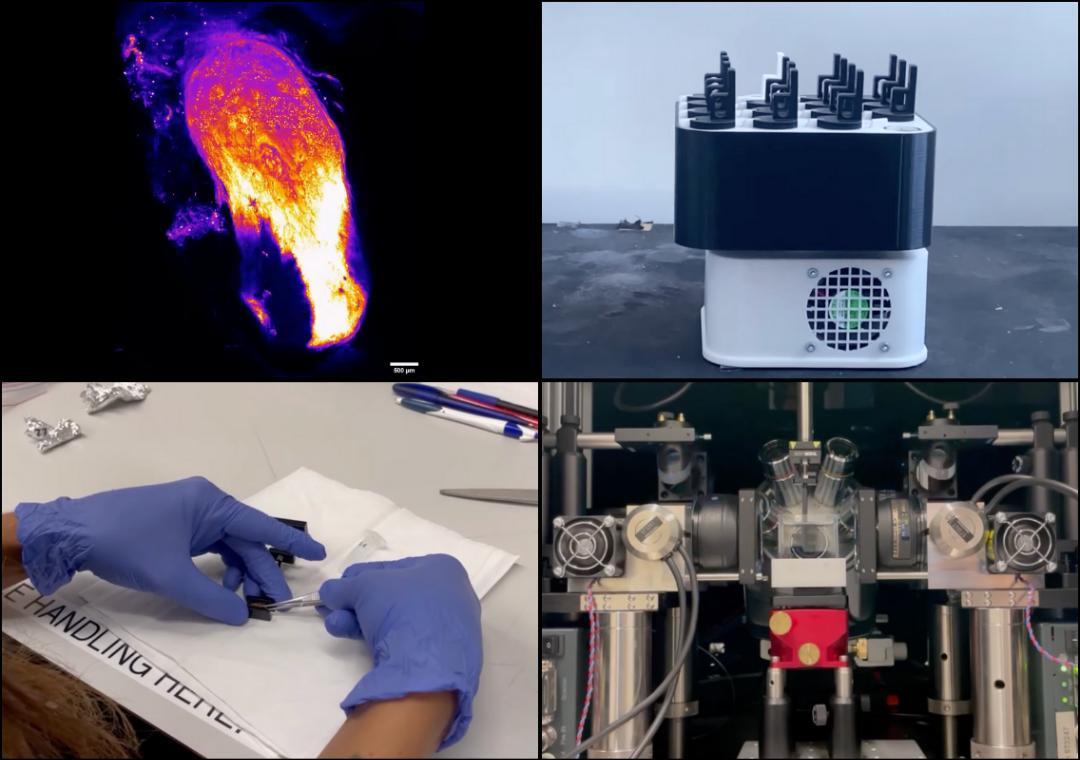 Swiss researchers develop robot platform to diagnose cancer cells ... Swiss researchers develop robot platform to diagnose cancer cells ...