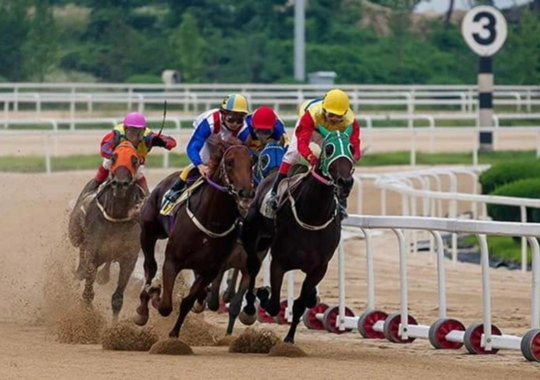 img_1698585749071_822.jpg?