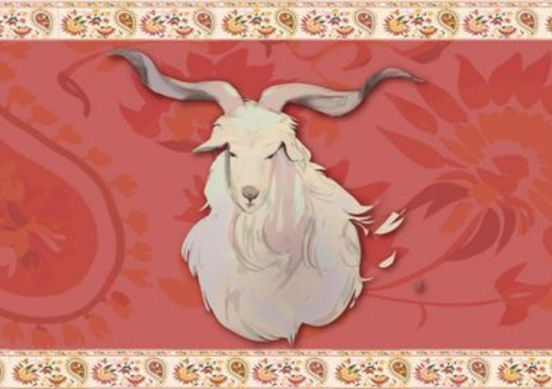 img_1698667532855_951.jpg?