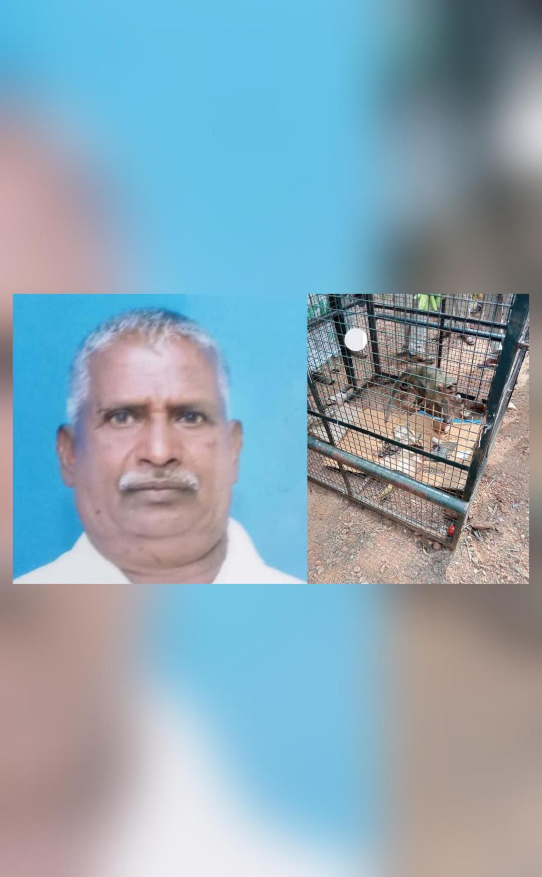 Monkey bite kills man in Karnataka | National News | Inshorts