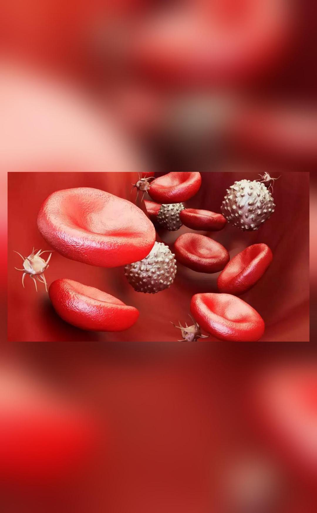 Understanding Different Types Of Haematological Malignancies | Health ...