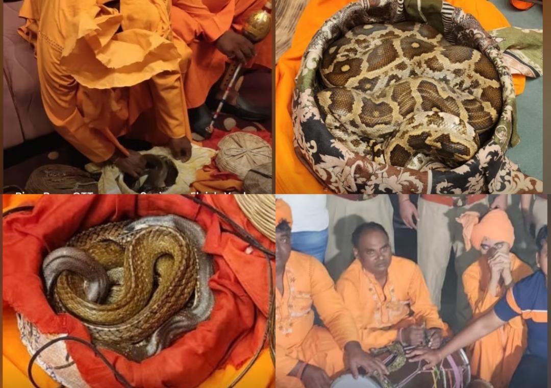 New pics from rave party with snake venom surface after Elvish booked ...