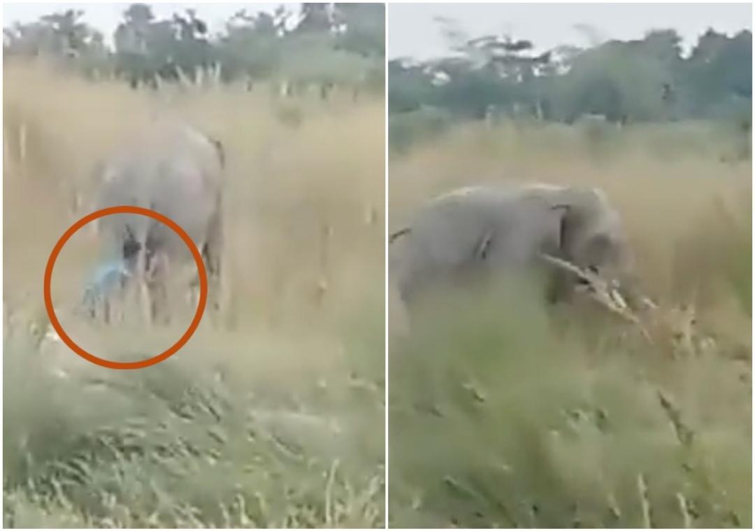 img_1699509068339_814.jpg?