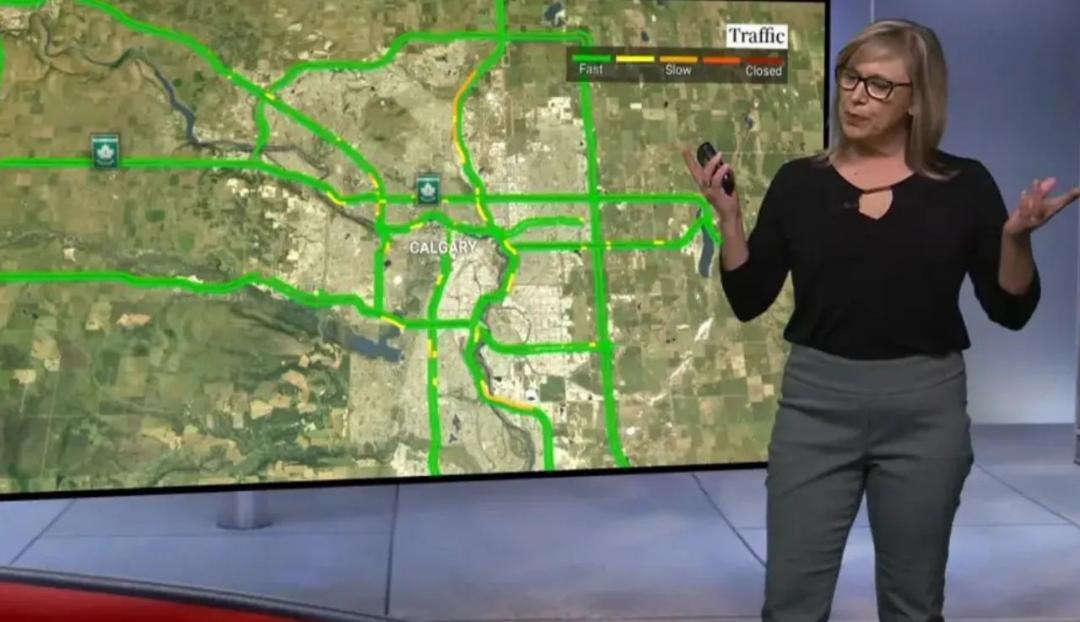 Watch: Canadian Reporter Shuts Troll Who Body Shamed Her On Air | World ...