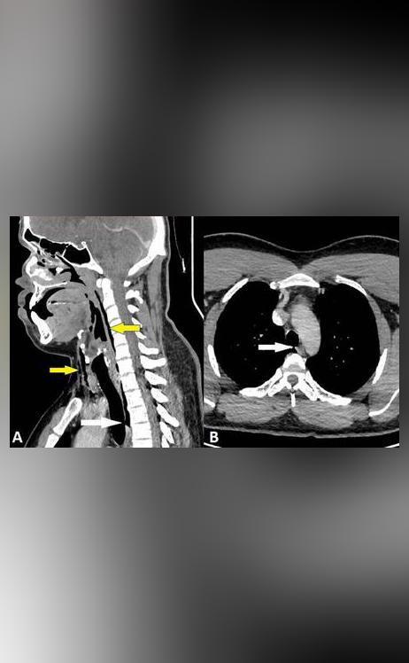 img_1702487520670_652.jpg?