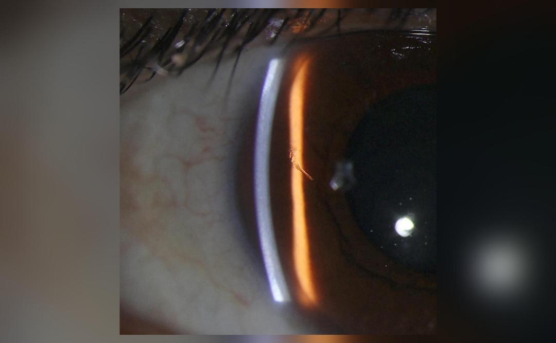 img_1702908284119_690.jpg?