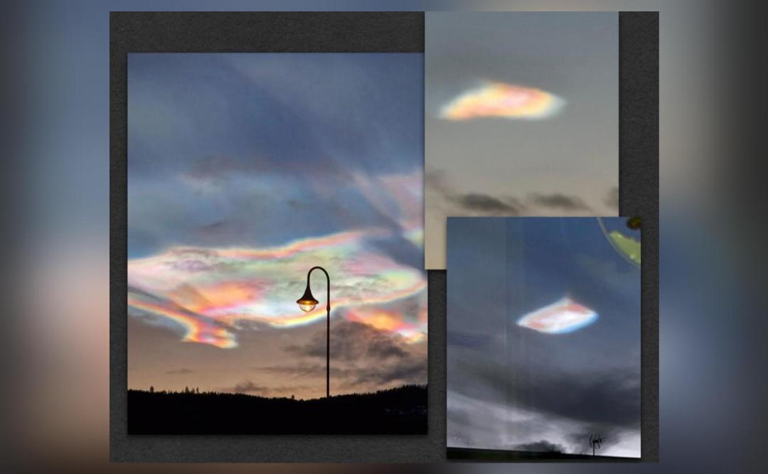 img_1703078585050_159.jpg?