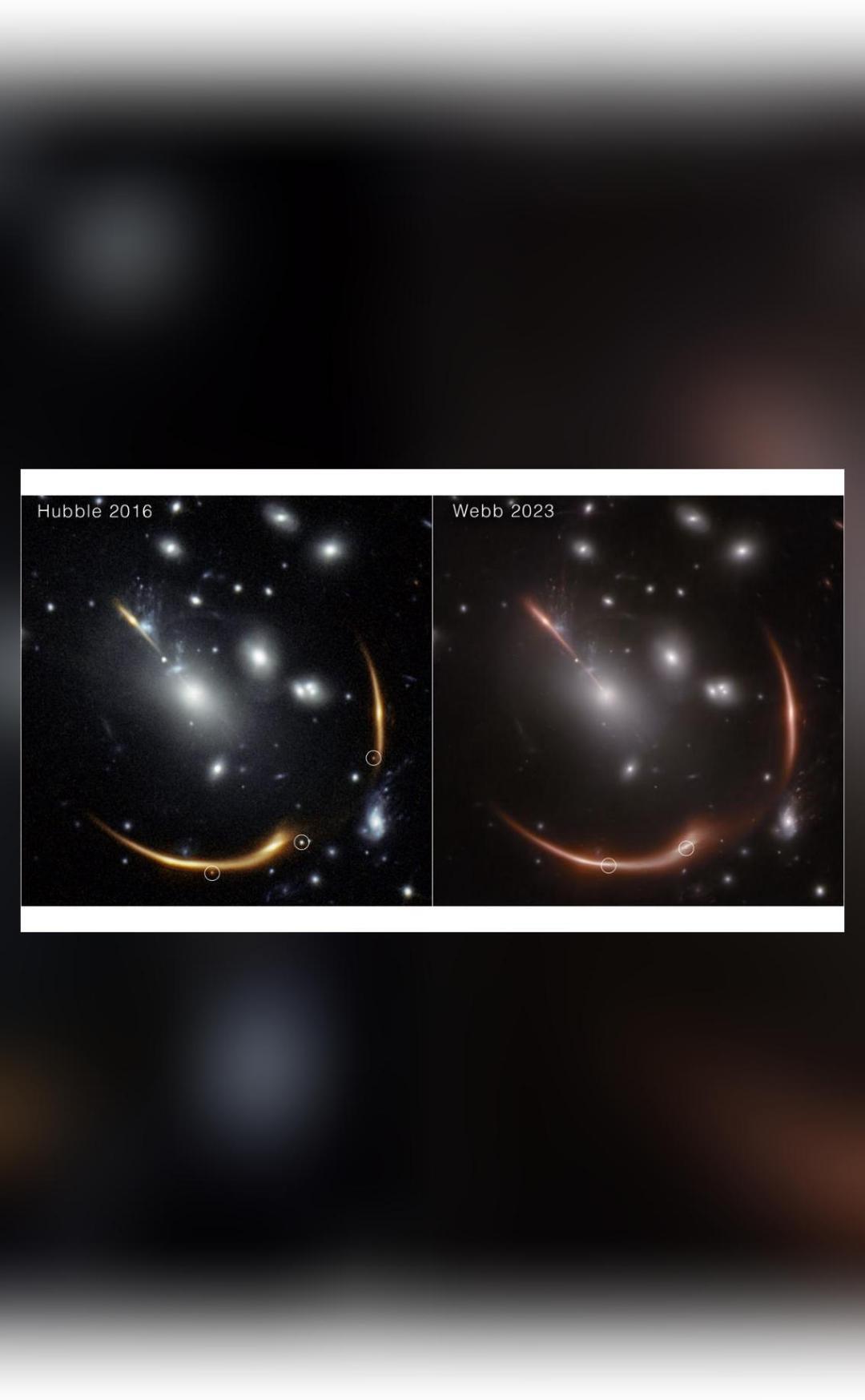 img_1703585654019_854.jpg?