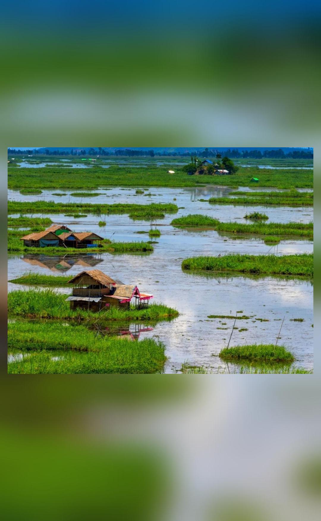 img_1703737493287_512.jpg?