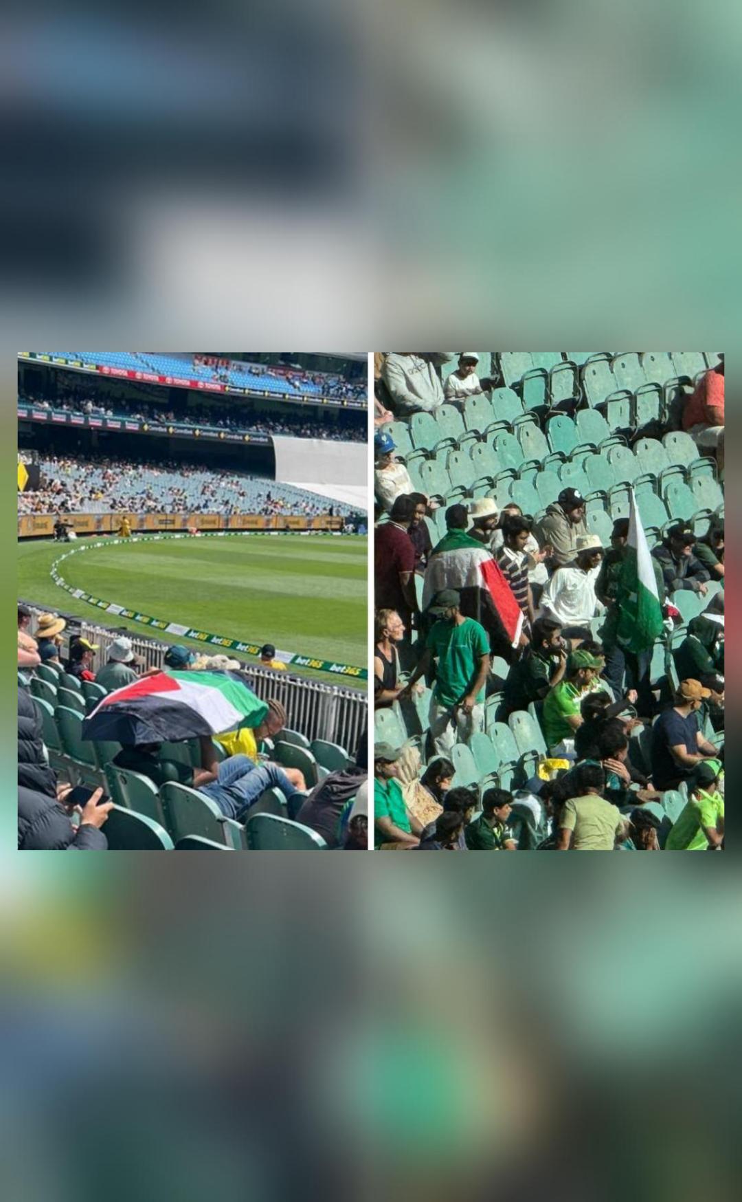 Photos go viral of fans displaying Palestine flag at MCG | Hatke News ...