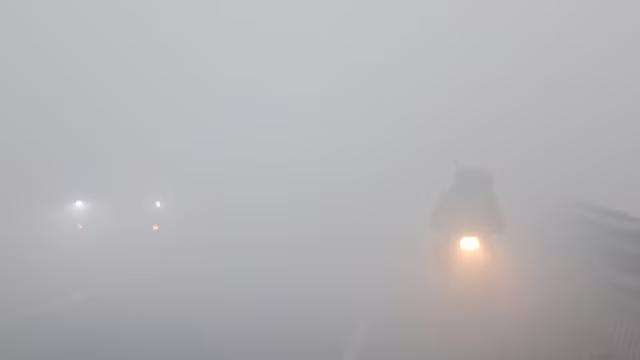 img_1704014152329_610.jpg?