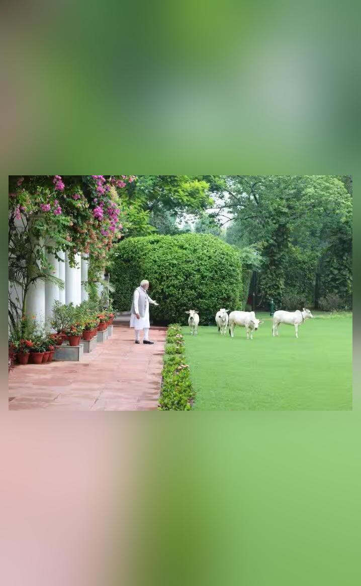 img_1704019375470_66.jpg?