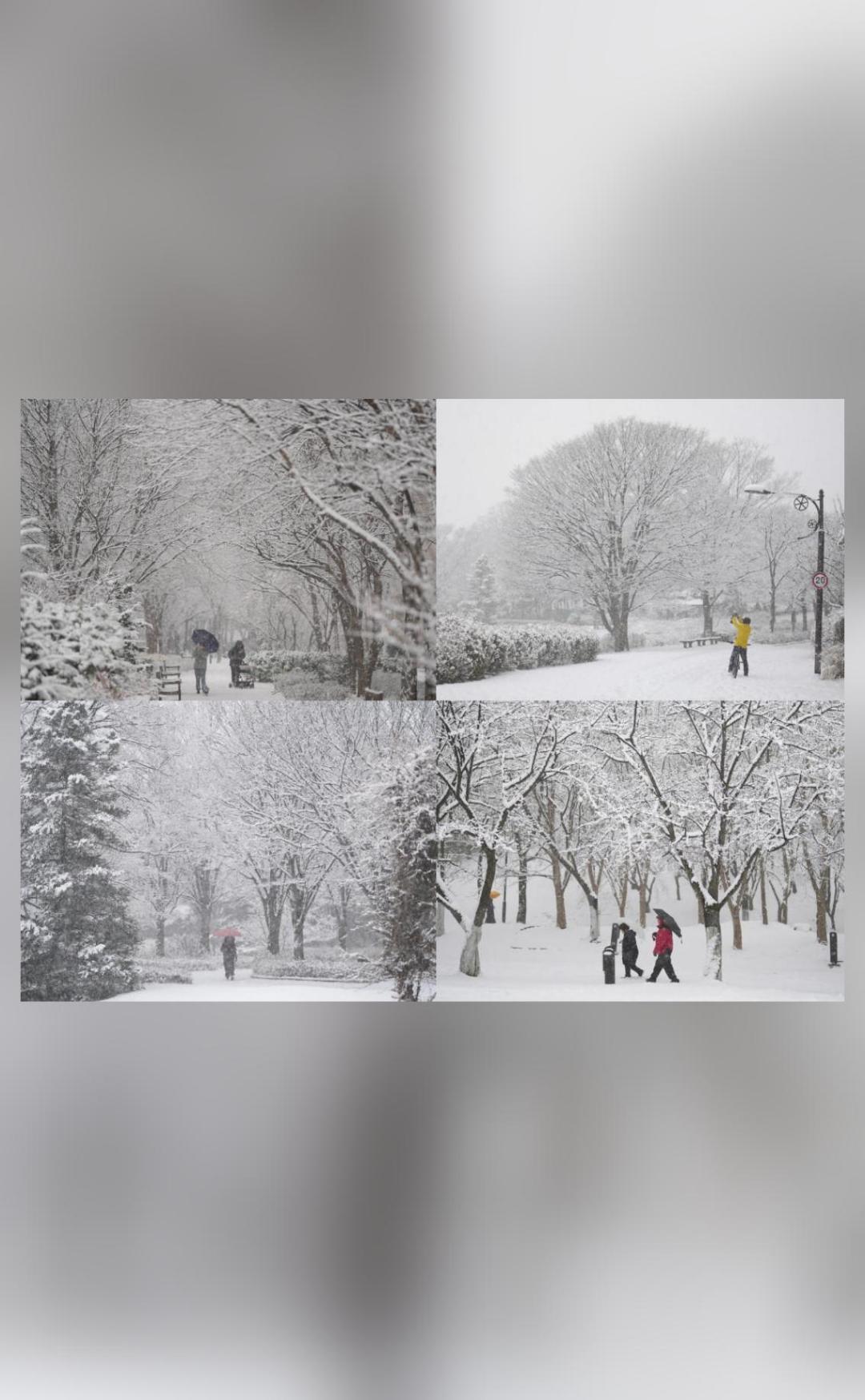 Seoul sees heaviest 1-day snowfall in December in over 40 years | World ...
