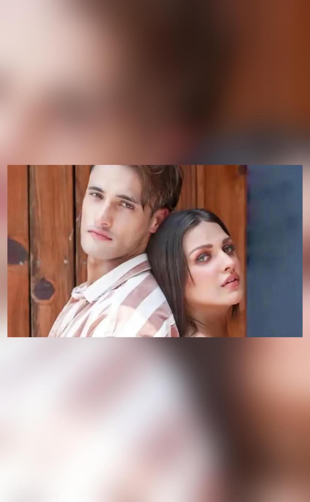 Himanshi Khurana-Asim Riaz Break Up: A Rundown Of Celebrity Splits | Entertainment News | Inshorts