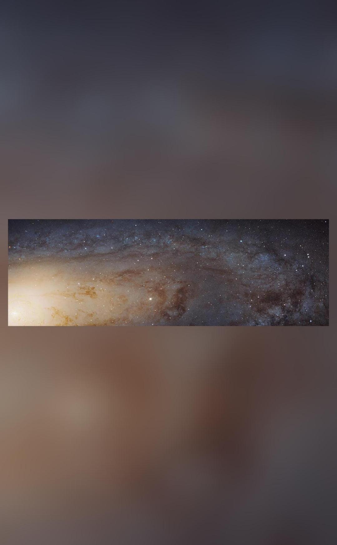 img_1702096892862_733.jpg?