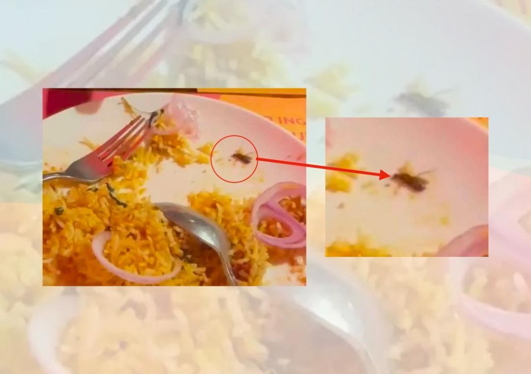 img_1704881378452_323.jpg?