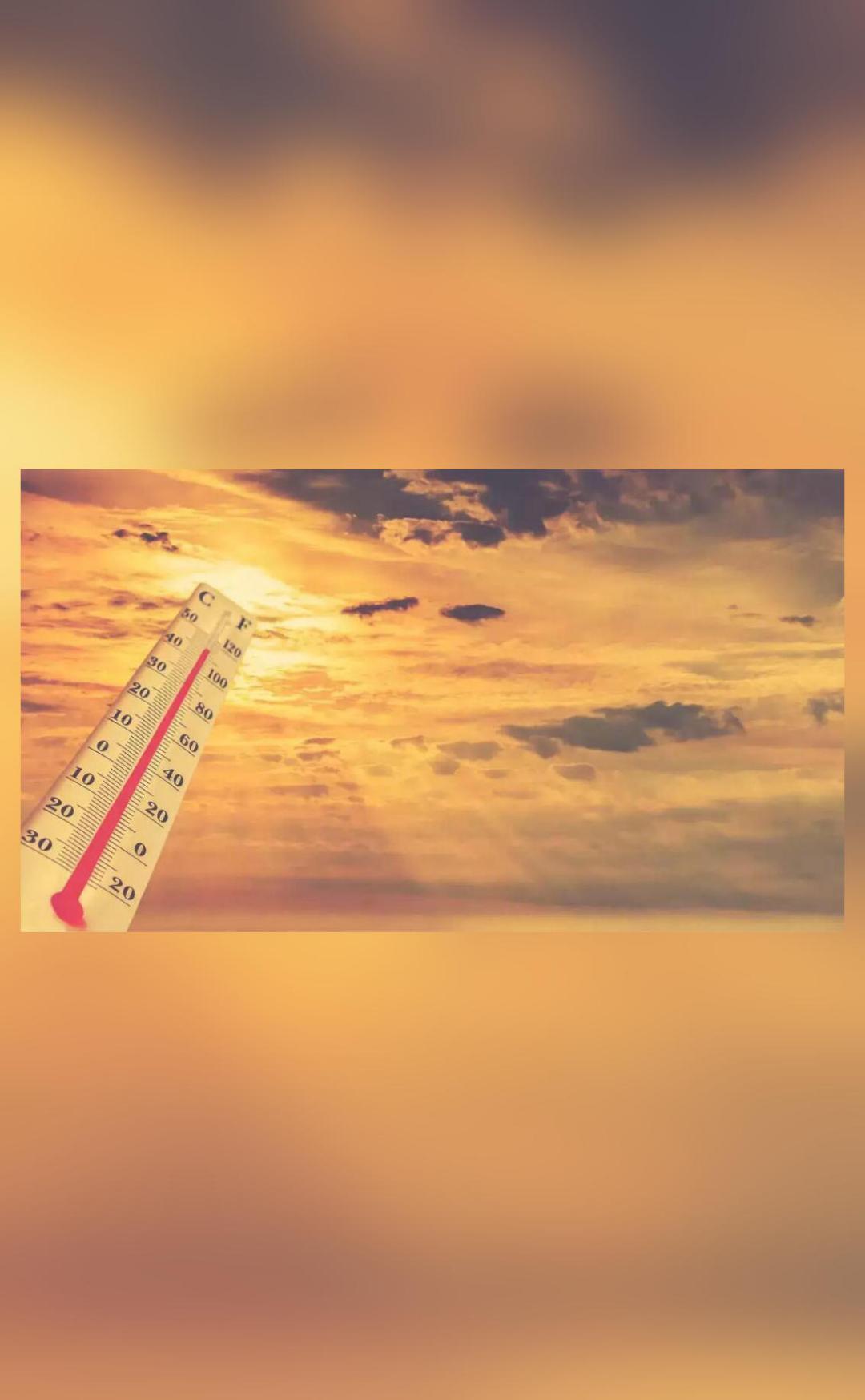 img_1704907932214_154.jpg?