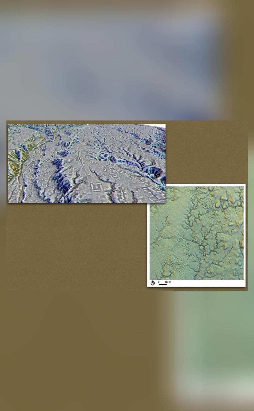 img_1705247269414_214.jpg?