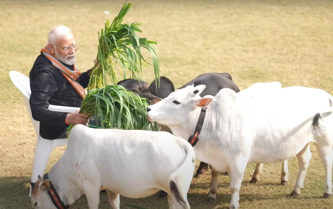 img_1705298559176_241.jpg?