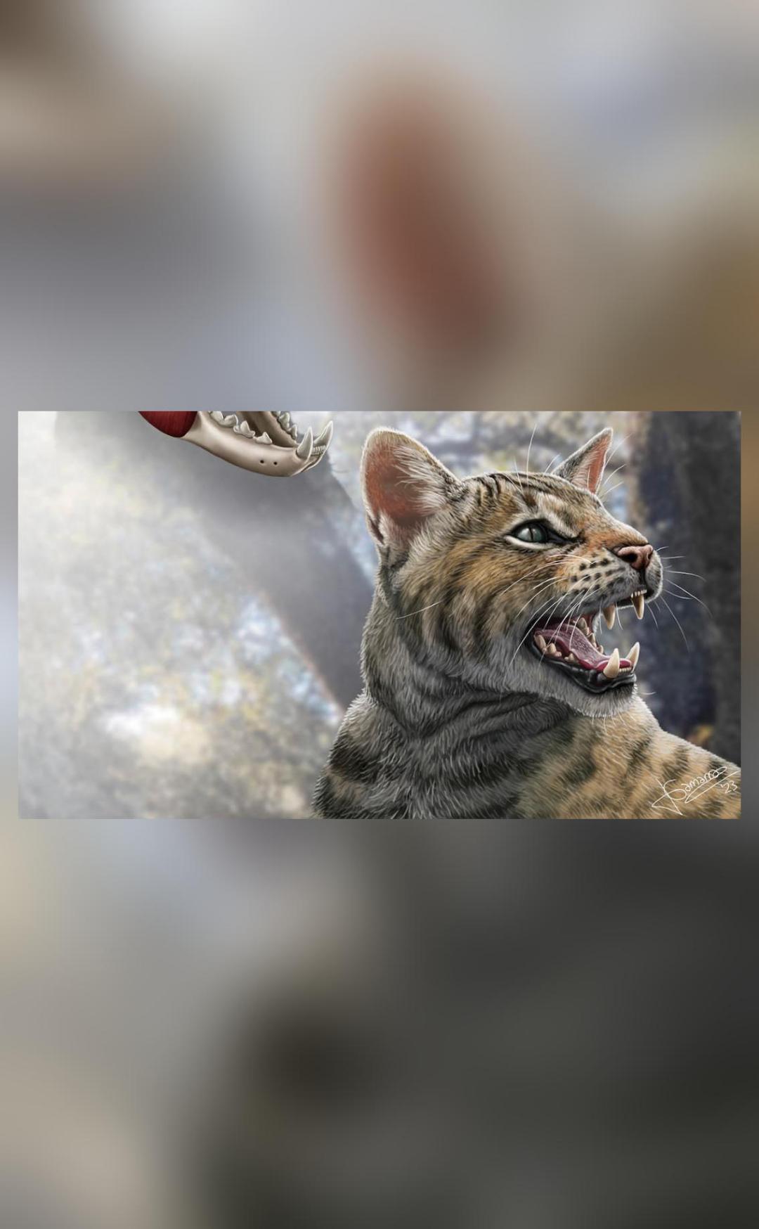 img_1705571096628_537.jpg?