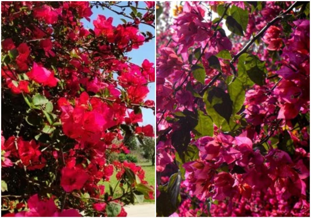 img_1704106772607_82.jpg?