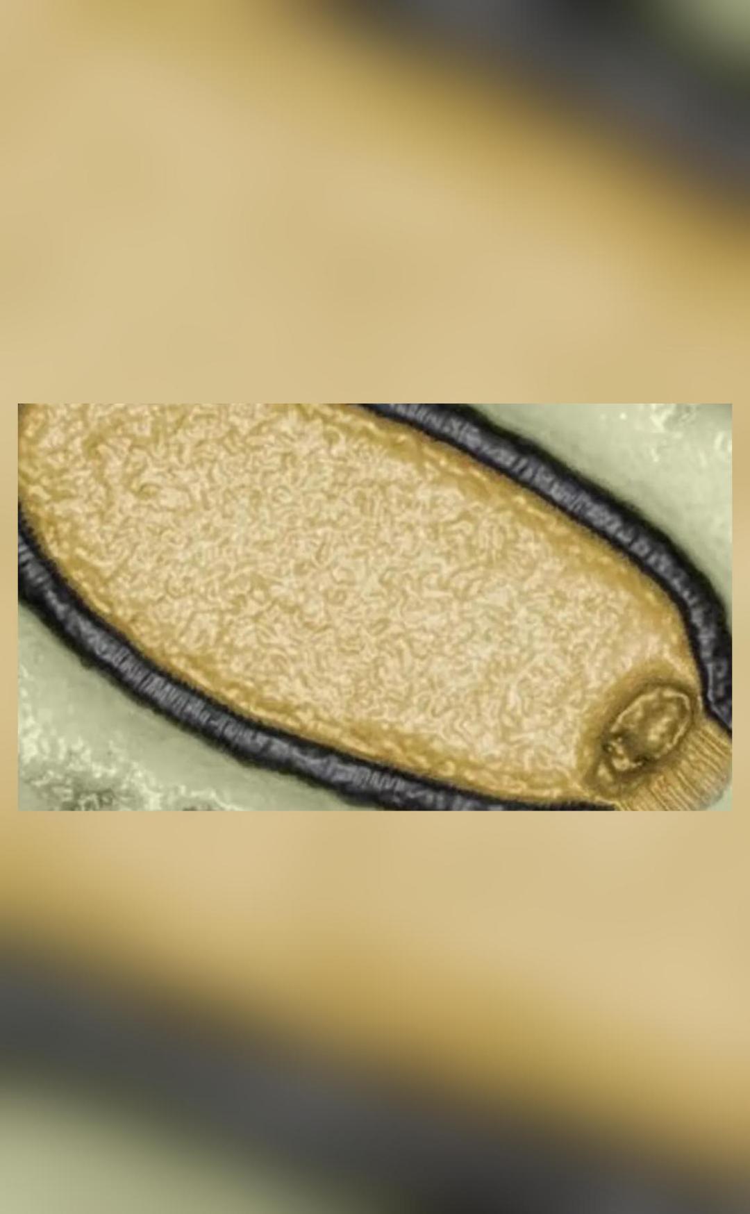 img_1705938407348_43.jpg?