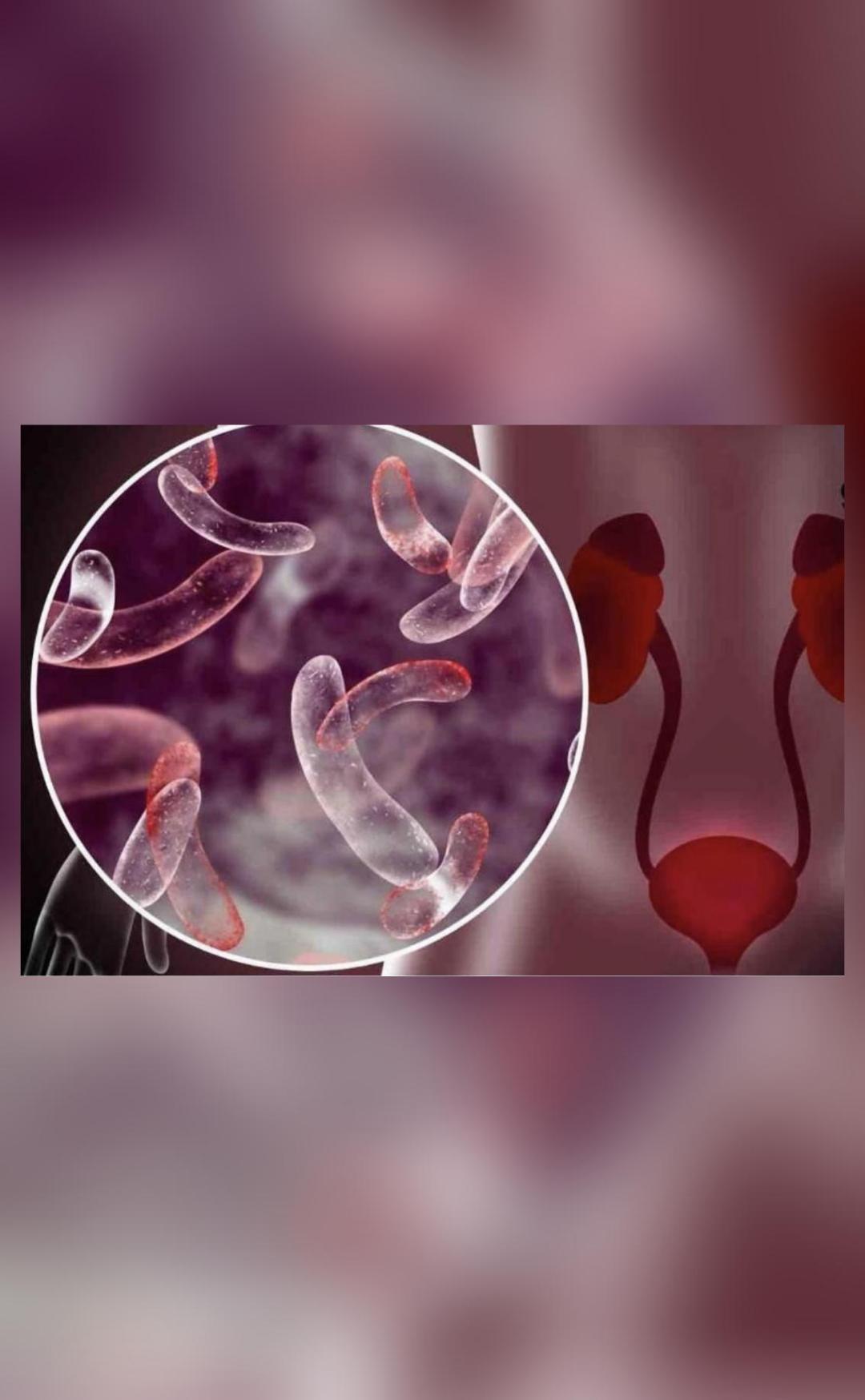 img_1706116397304_613.jpg?