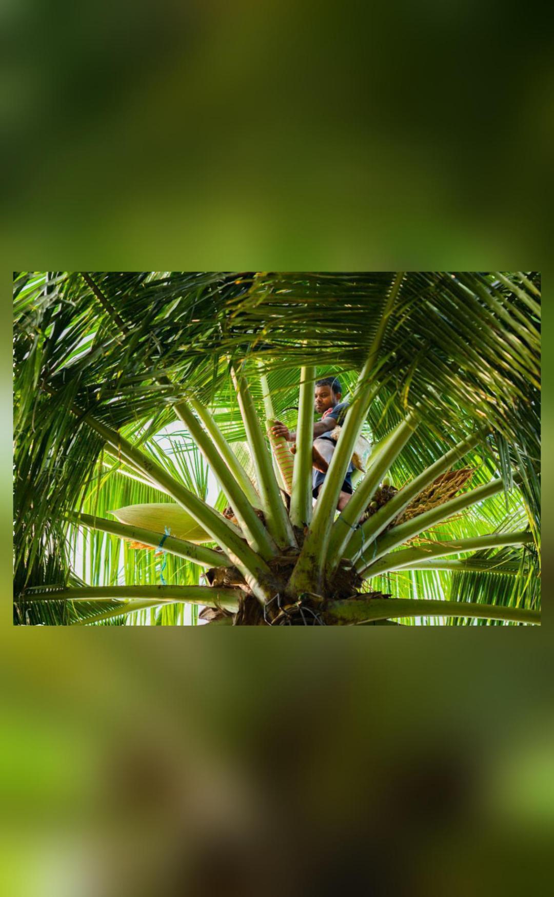 img_1706429312939_830.jpg?