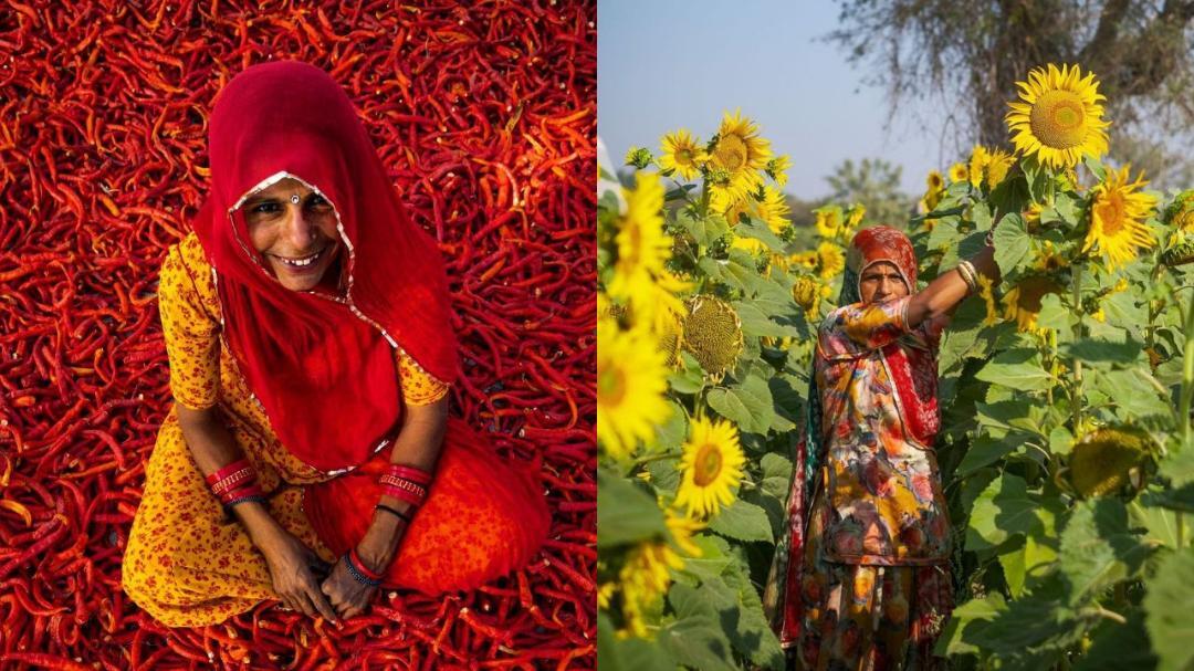 img_1707902342404_165.jpg?