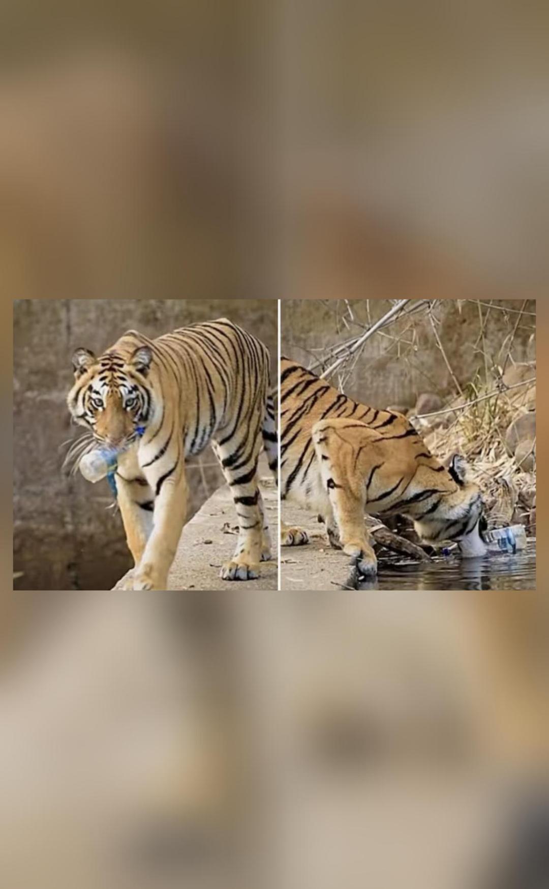 img_1707903679515_466.jpg?