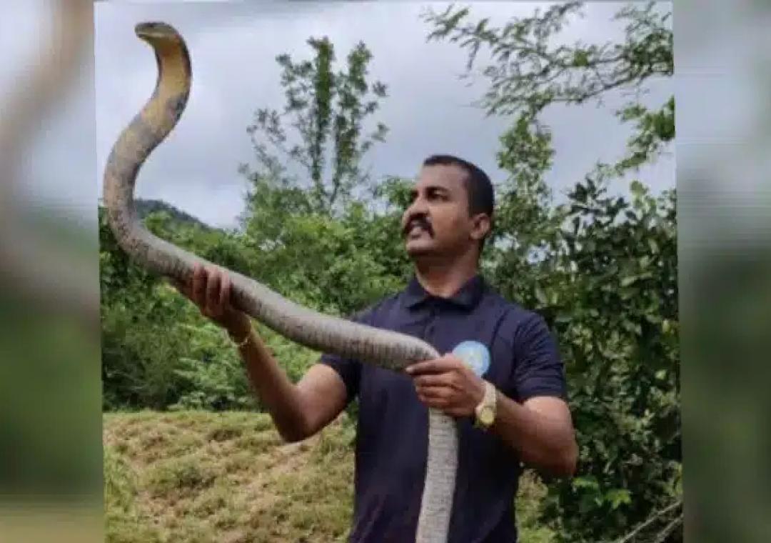 img_1708153655510_461.jpg?