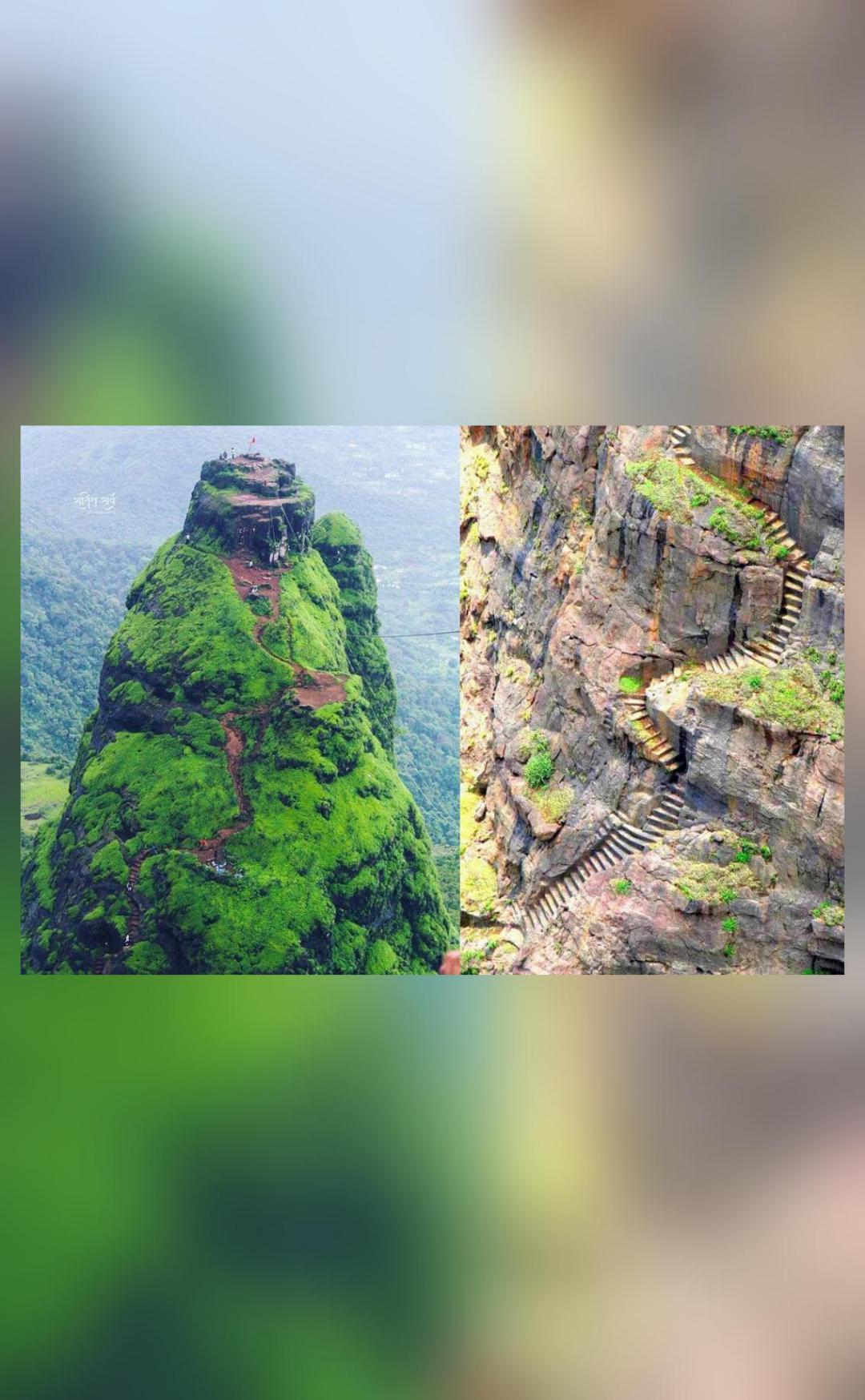 img_1708252572028_909.jpg?