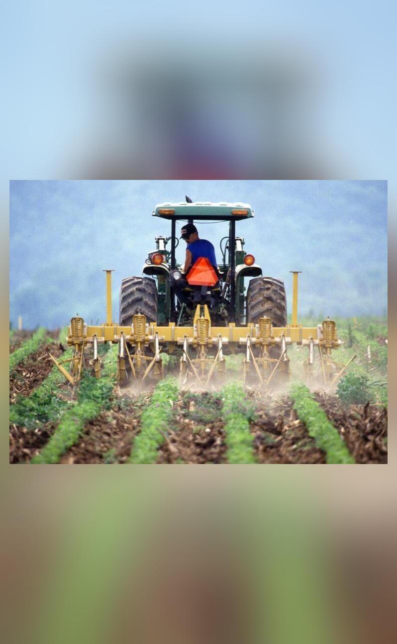 img_1706768349453_182.jpg?