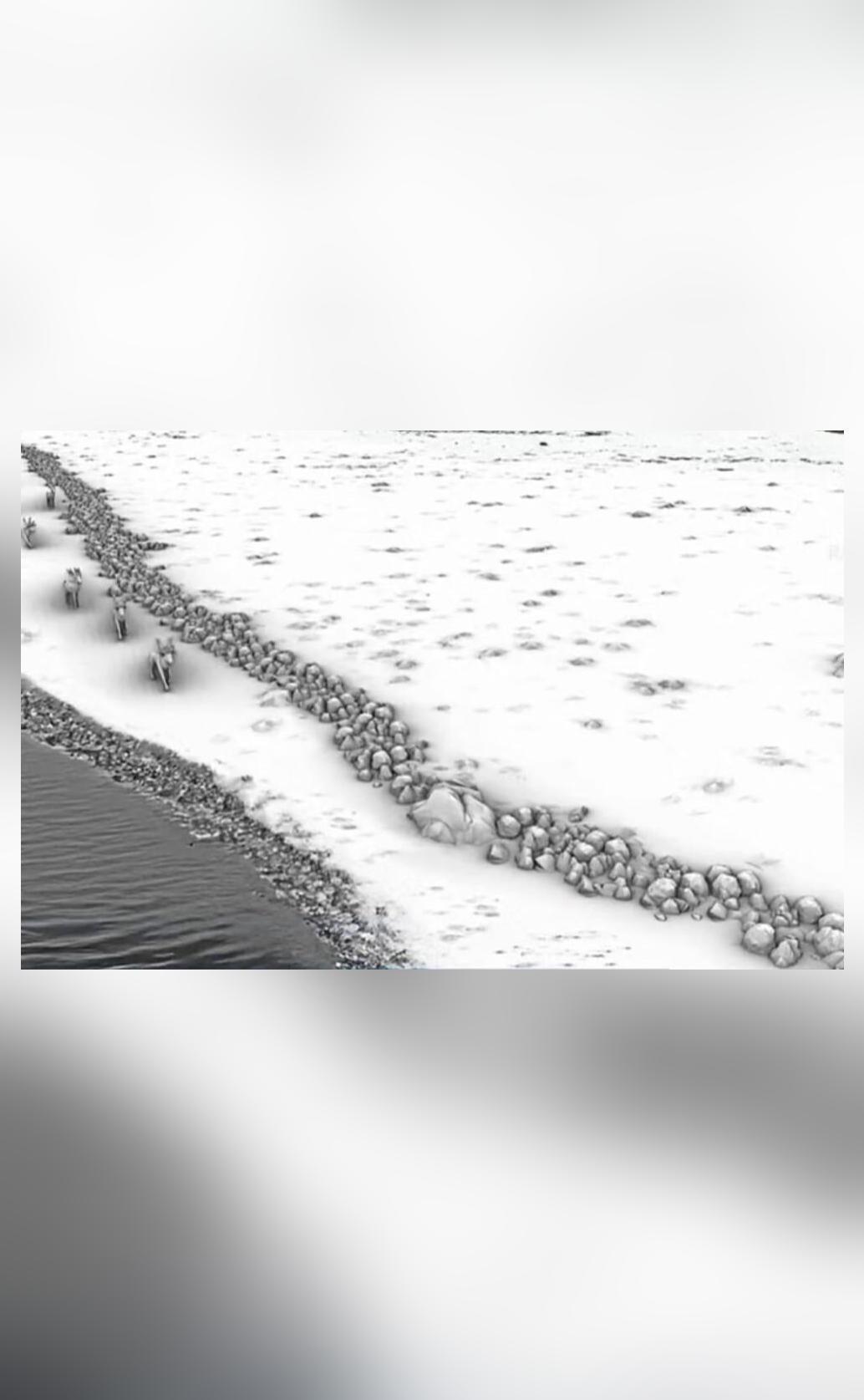 img_1708508068794_662.jpg?