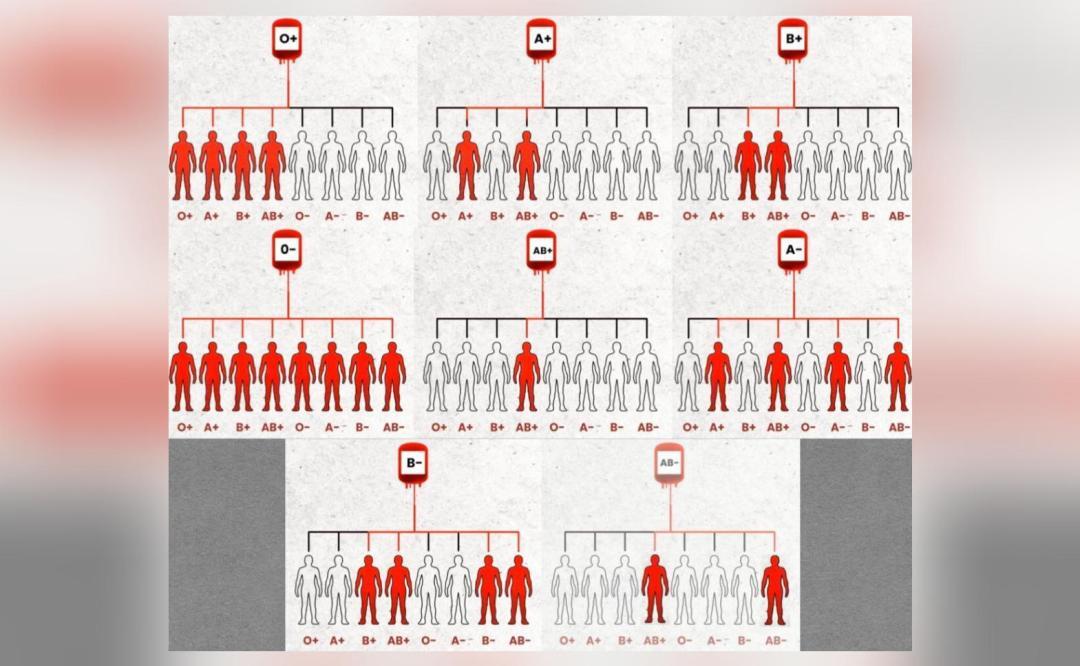 img_1711545566539_62.jpg?