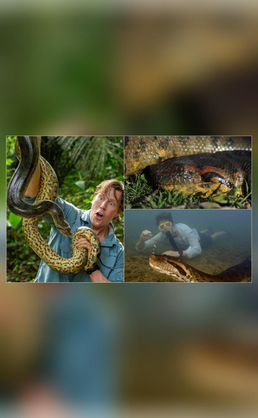 img_1711614217351_311.jpg?