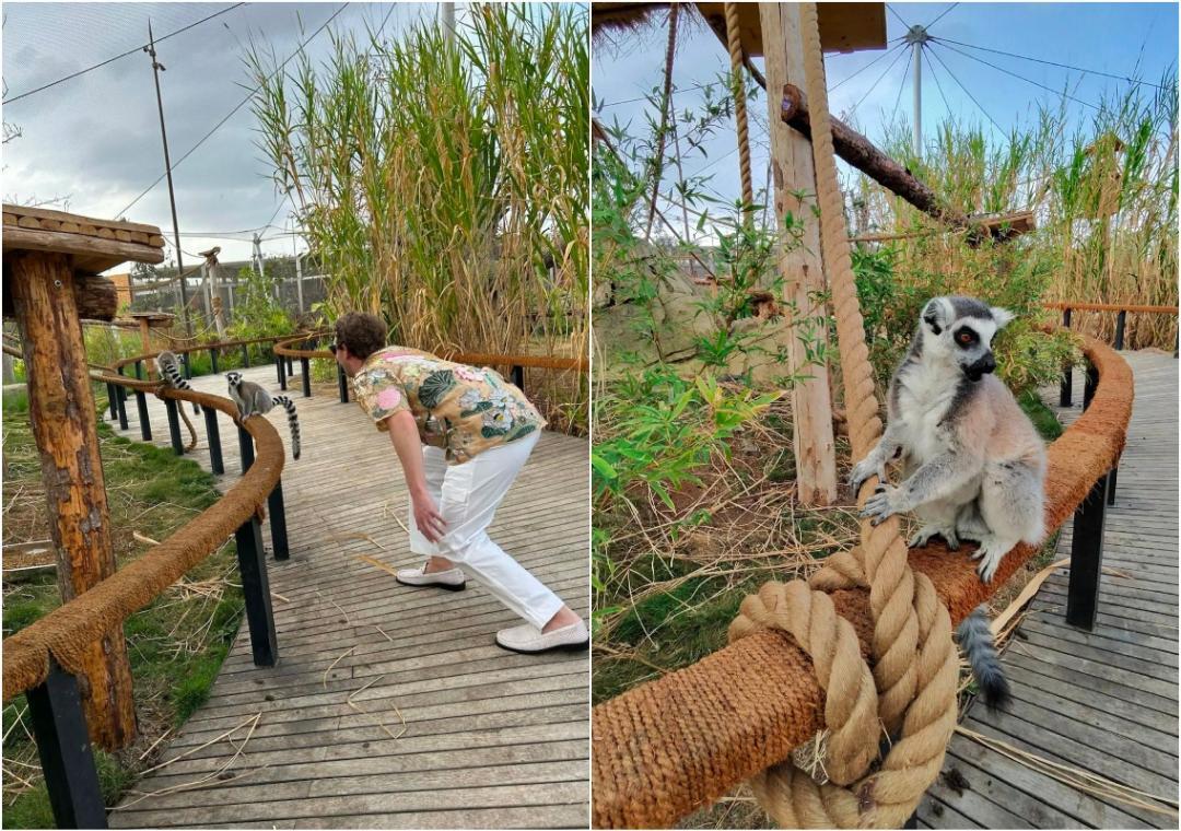 img_1709457045705_517.jpg?