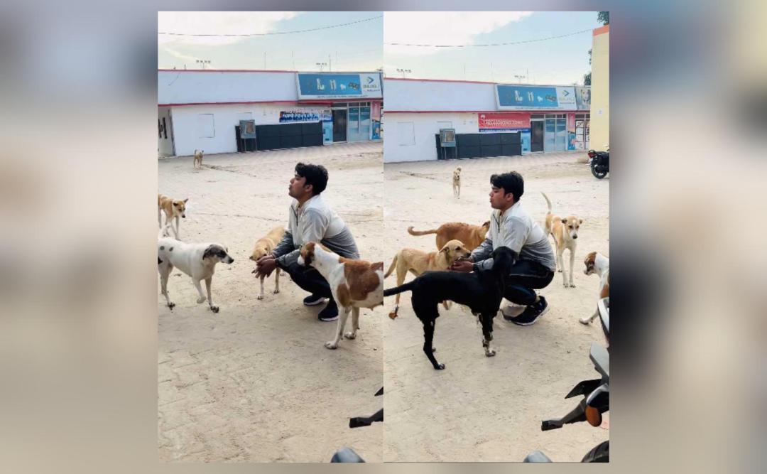 Viral: Man’s incredible talent for Mimicking Dogs amazes internet ...