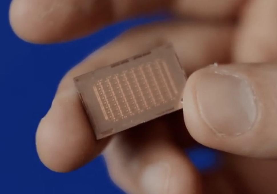 img_1712764621801_577.jpg?