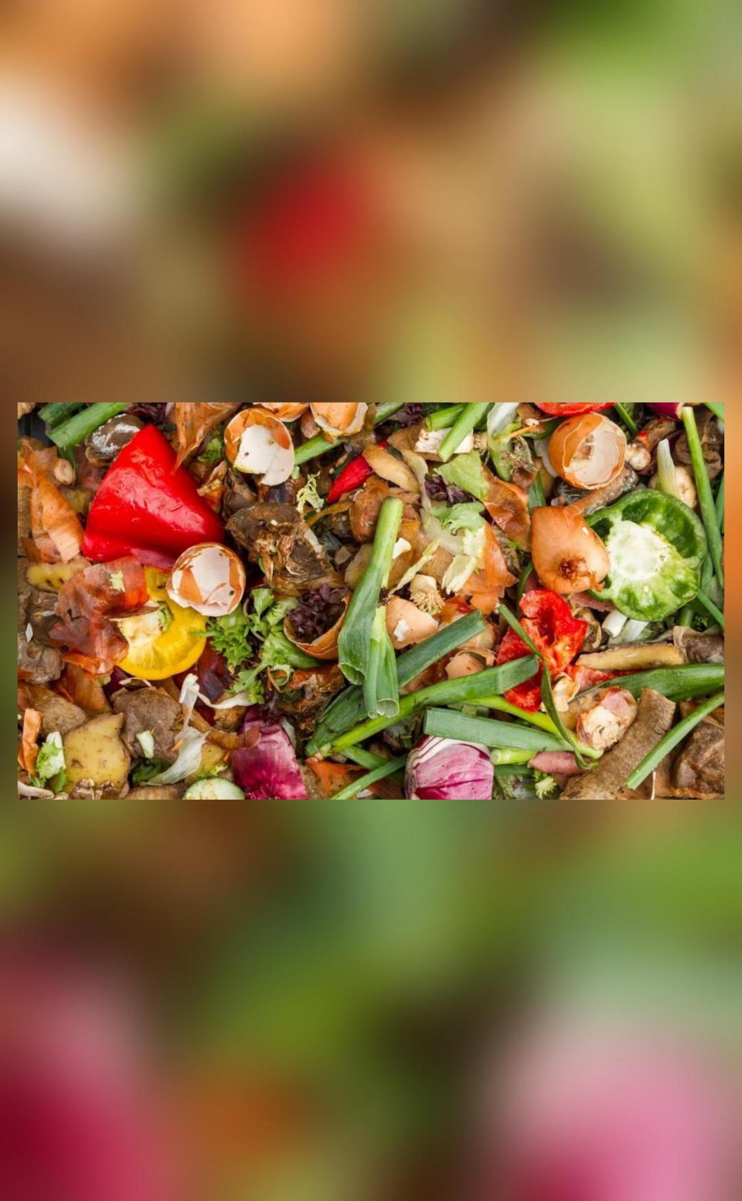 img_1713773410718_545.jpg?